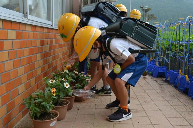 注目 本気のミニなわとび2 キラキラ 8種セット ipponsugi.org
